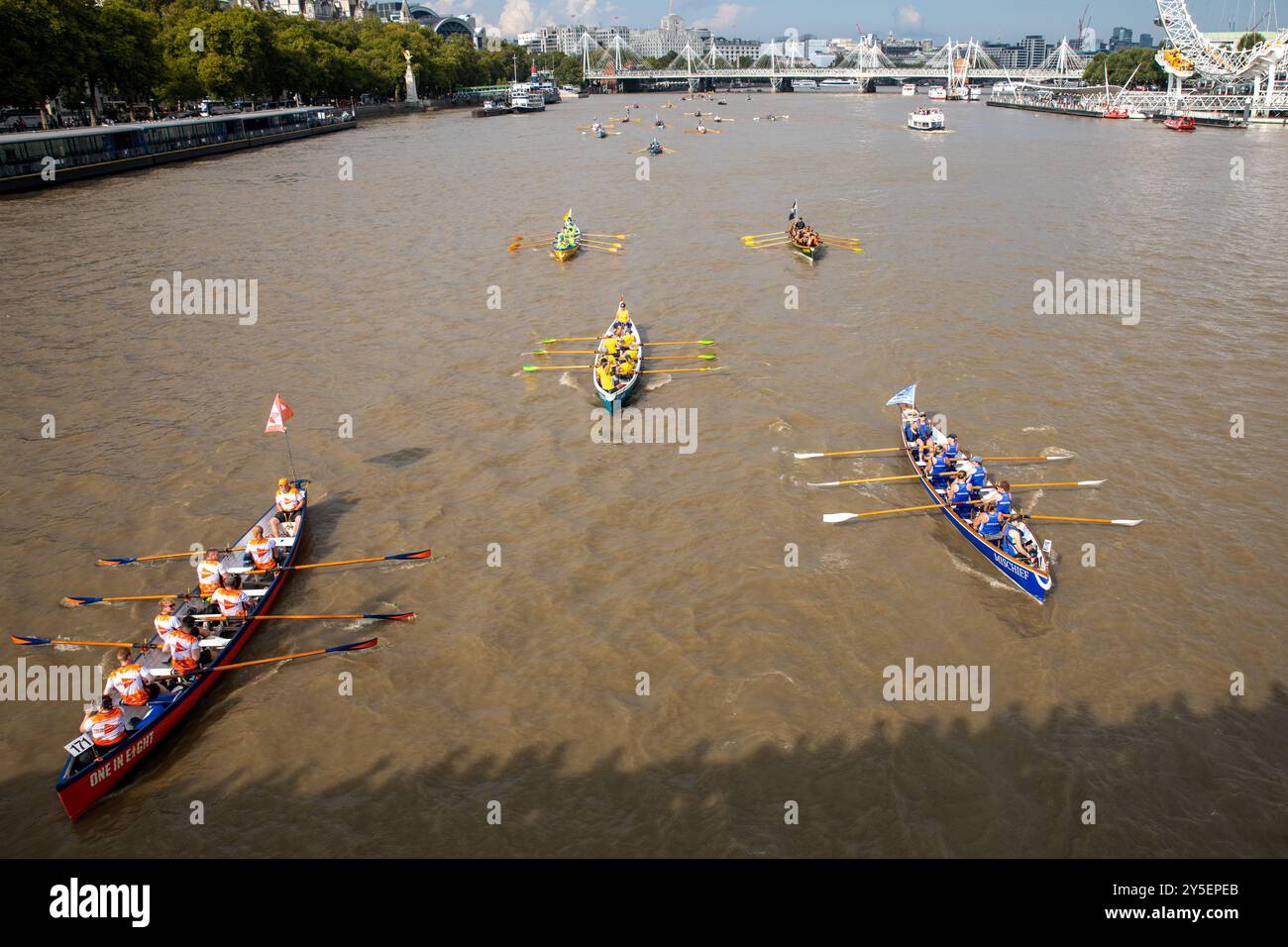 London, UK. 21st Sep, 2024. Rowing boats approach Westminster Bridge ...