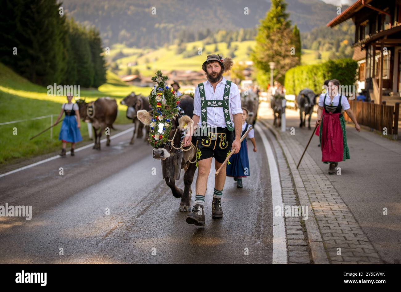 21.09.2024, Deutschland, Bayern, Allgäu: Viehscheid, Almabtrieb in ...