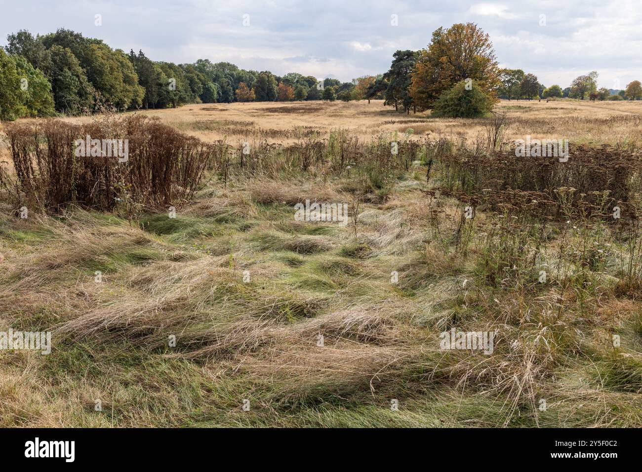 London, UK. 21st September, 2024. A general view of Whitewebbs Park, a ...