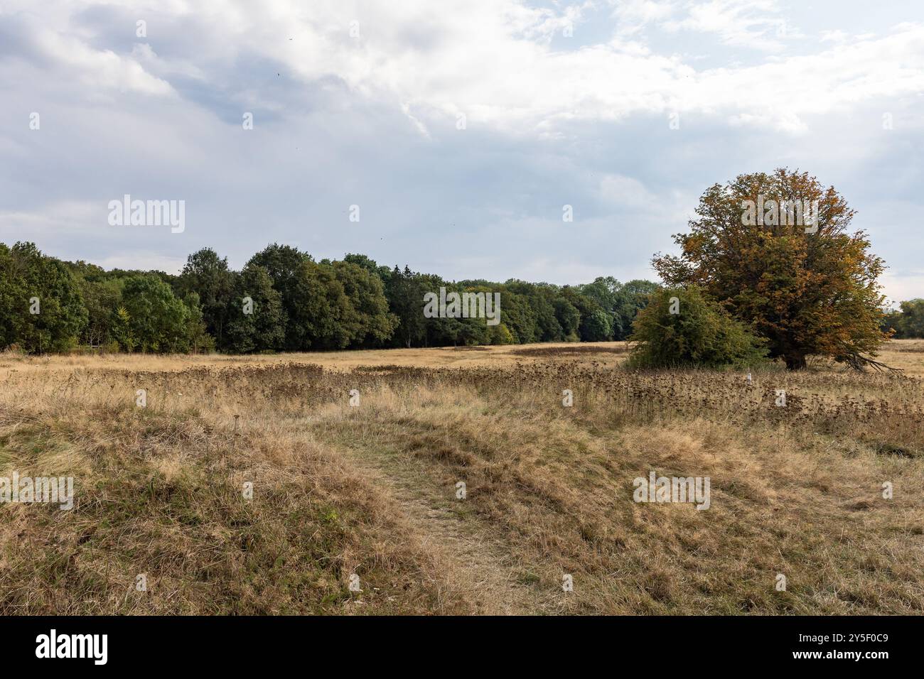 London, UK. 21st September, 2024. A general view of Whitewebbs Park, a ...