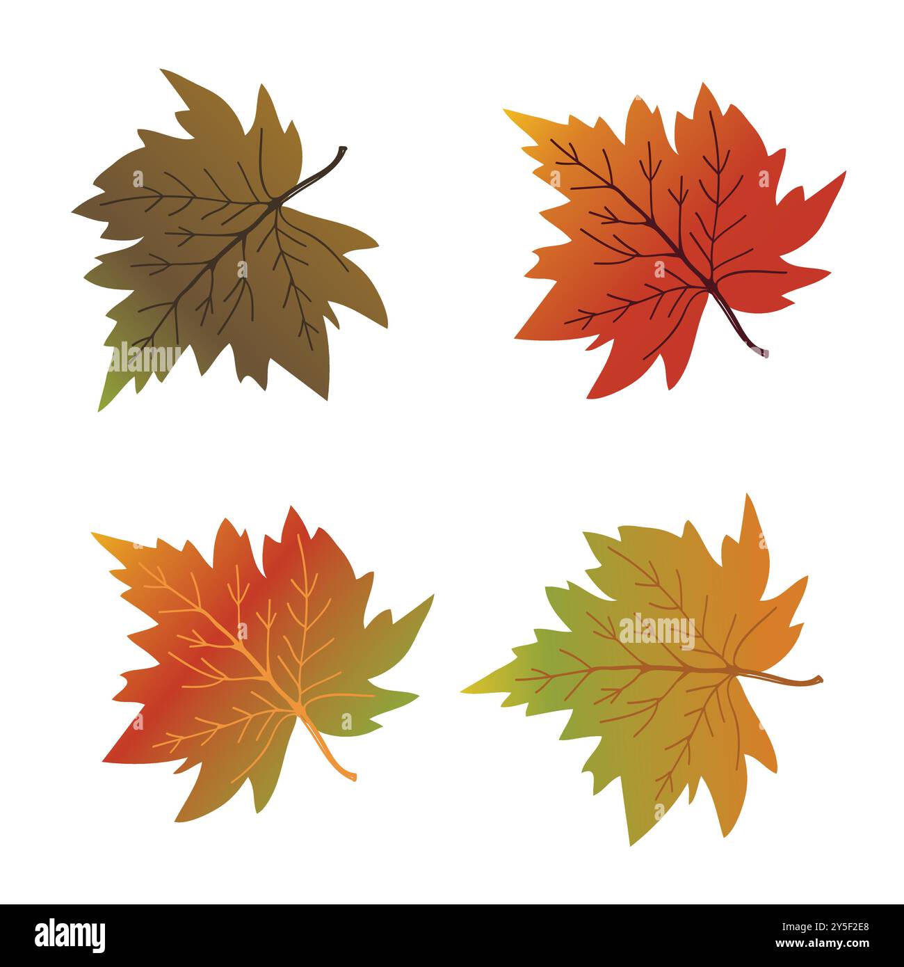 maple leaves fall autumn season vector illustration Stock Vector Image & Art - Alamy