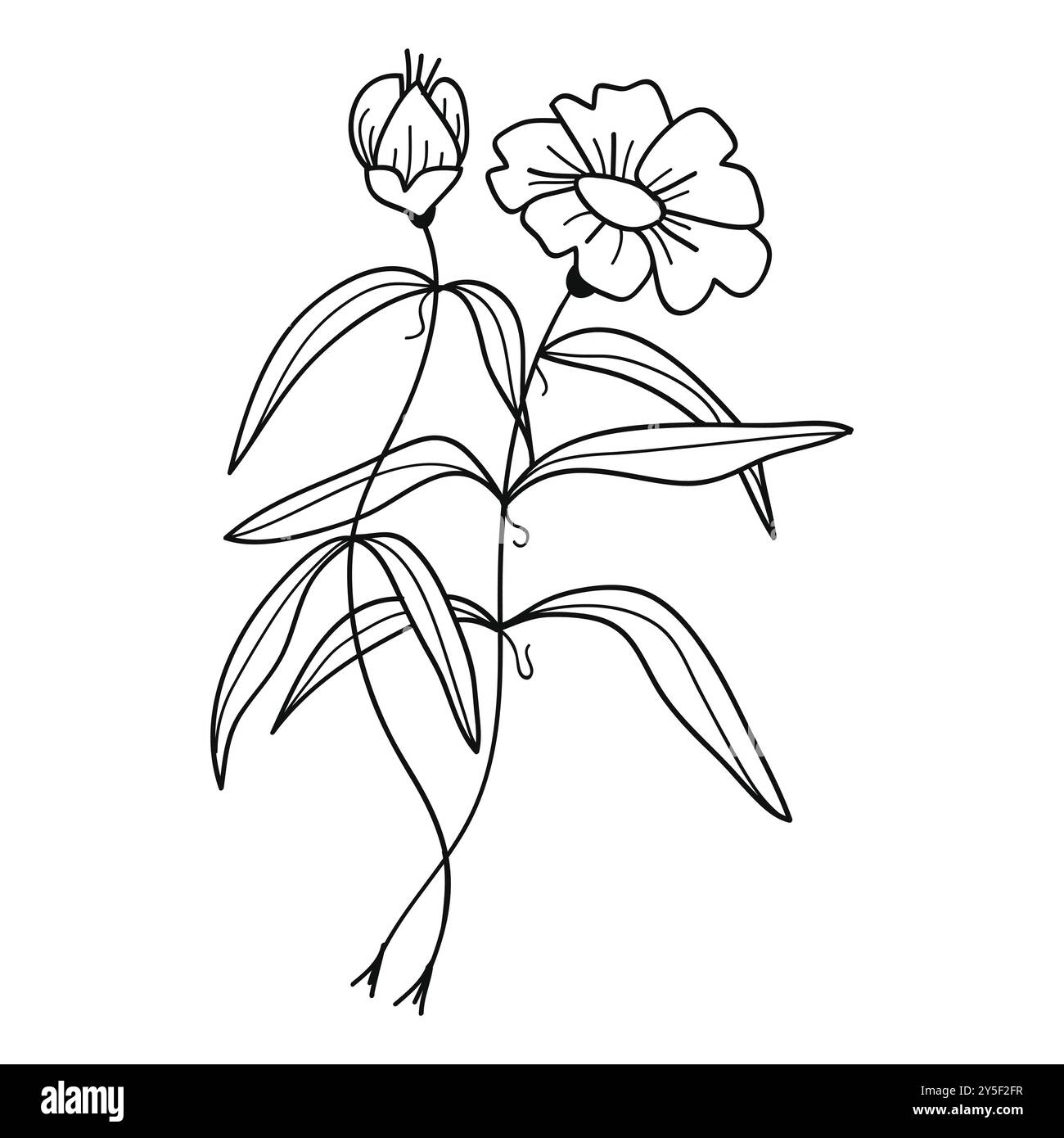 Hand drawn plant botanical blossom line art Stock Vector Image & Art ...
