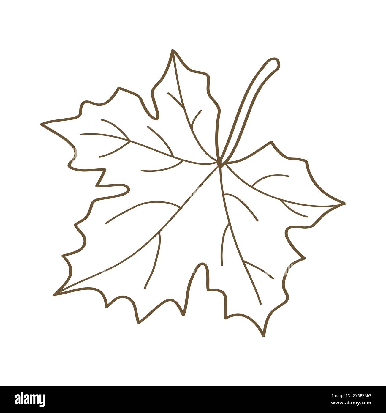 Hand drawn brown maple leaf line art vector illustration Stock Vector ...