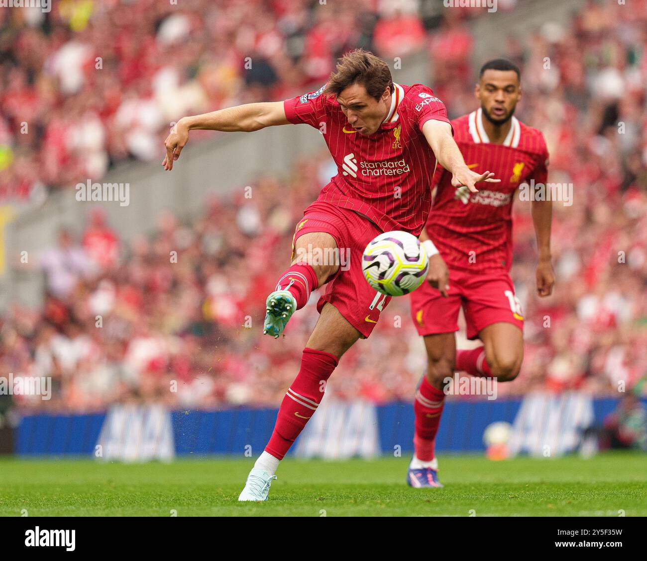 Federico chiesa hi-res stock photography and images - Alamy