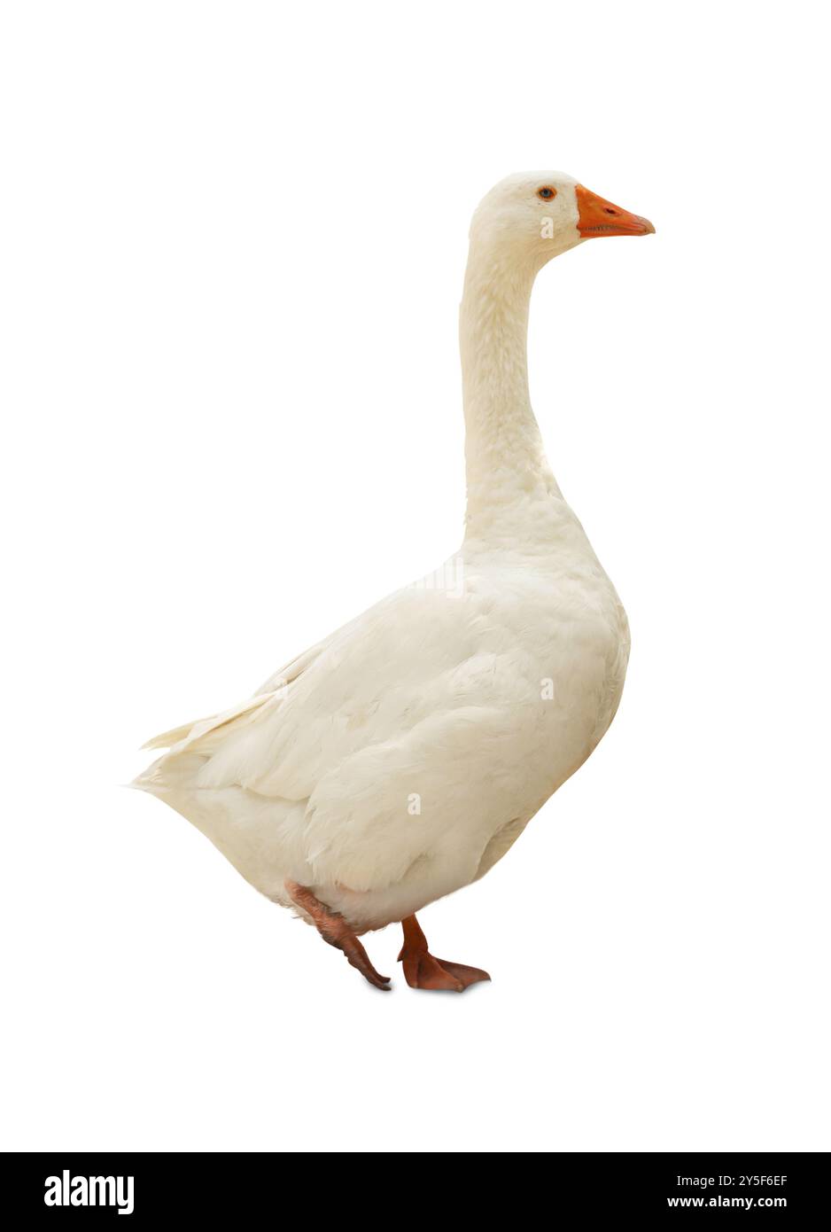 Rural sanctuary Cut Out Stock Images & Pictures - Alamy