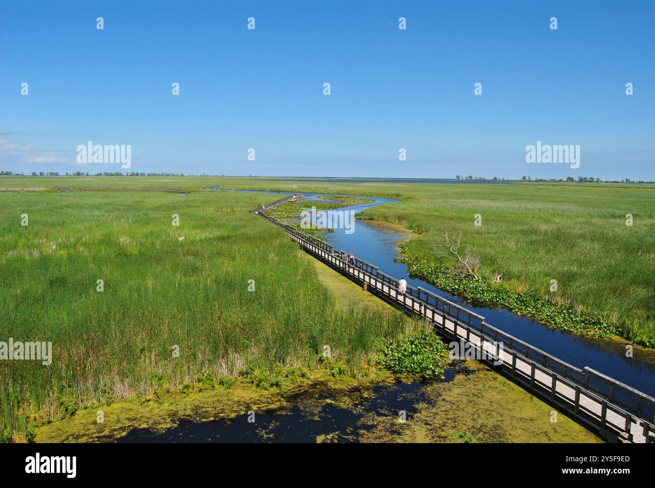 People walking on the boardwalk in a marsh at Point Pelee National Park ...