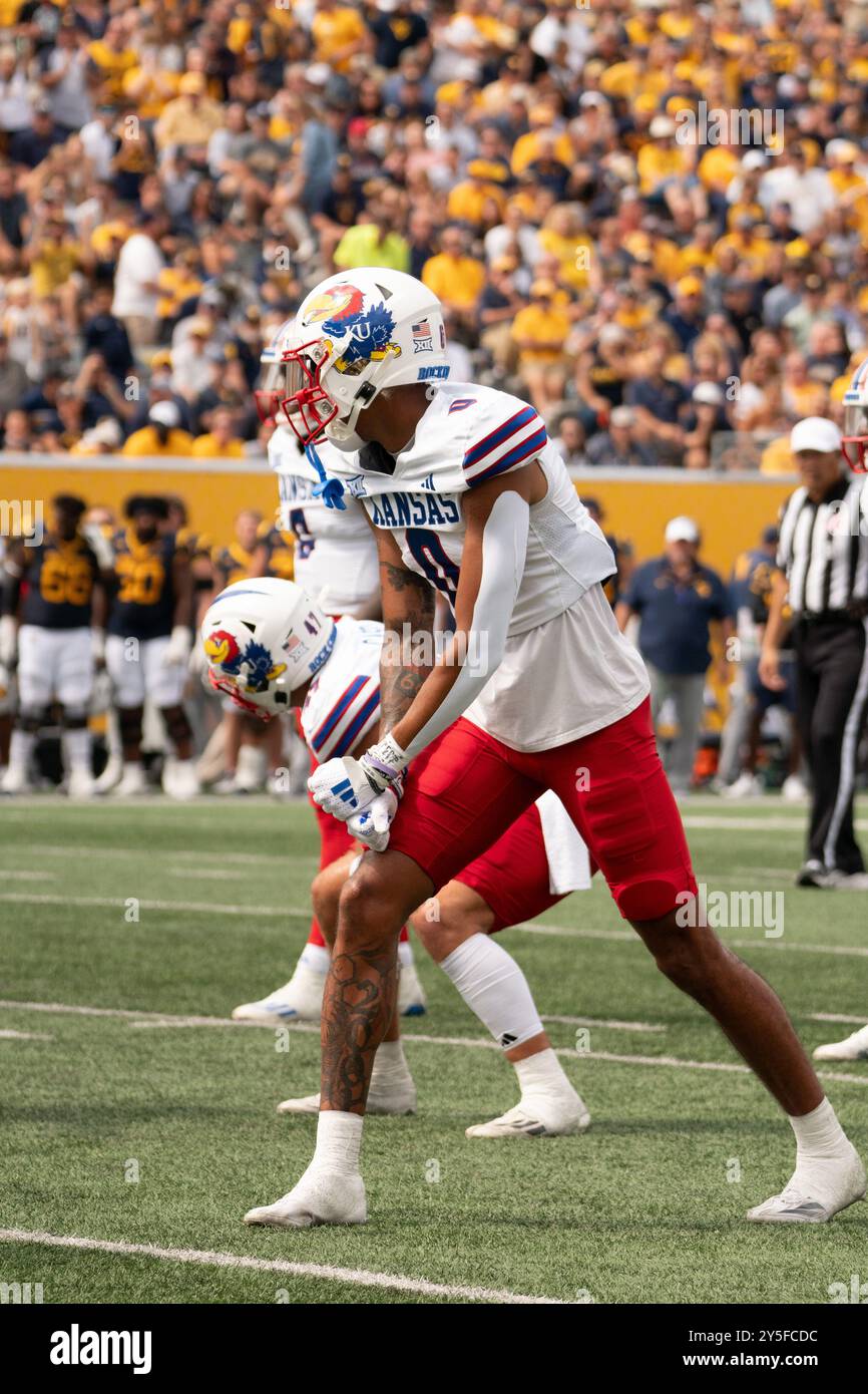 Quentin skinner hi-res stock photography and images - Alamy