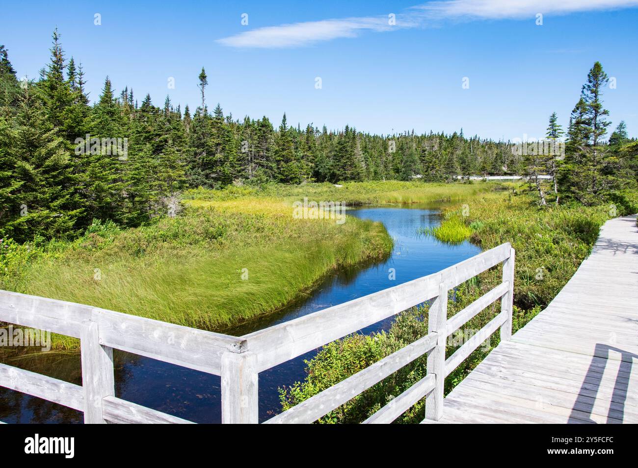 Wooden boardwalk in the wetlands at Salmonier Nature Park on NL 90 in ...