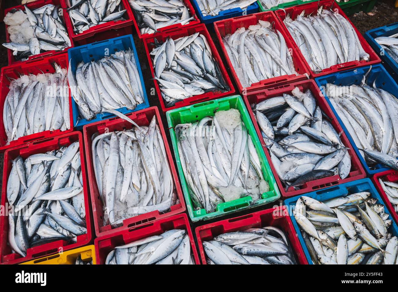 An assortment of sea fish at a traditional Vietnamese street market ...