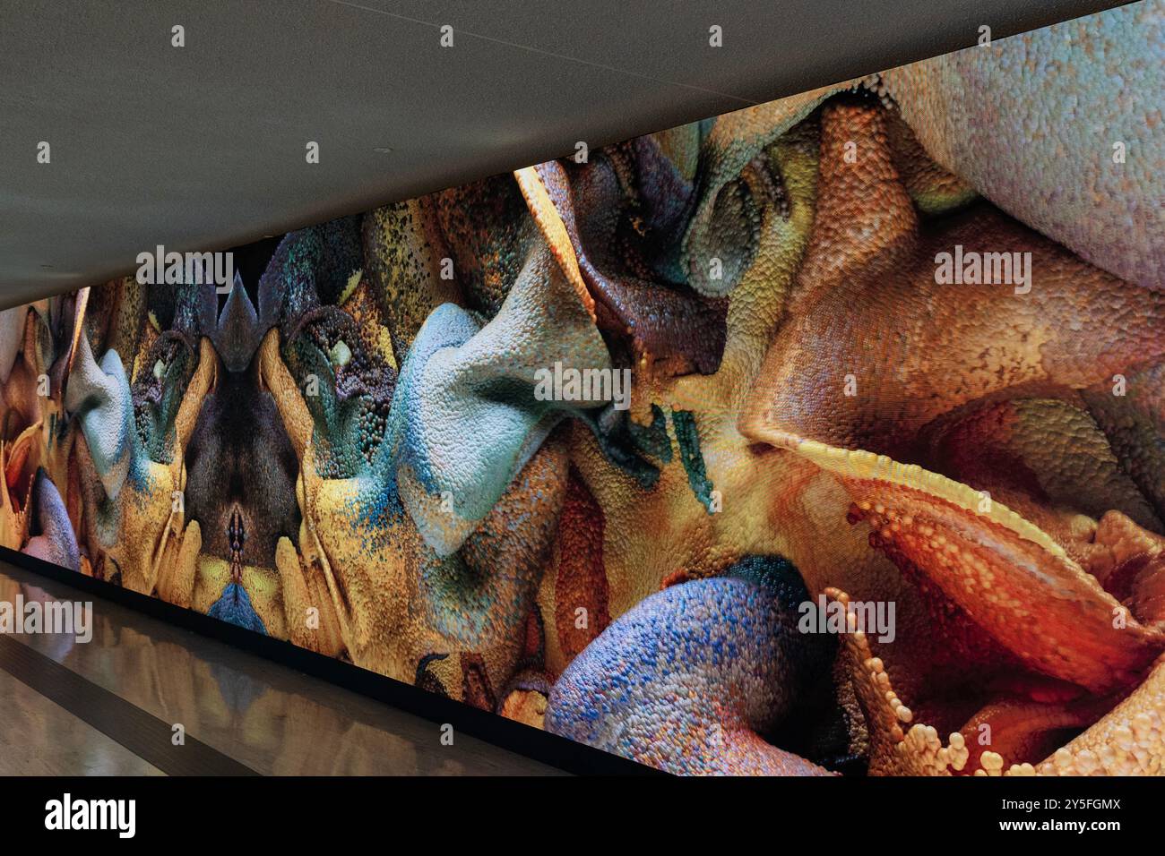 View of AI-powered immersive art installation called Large Nature Model ...