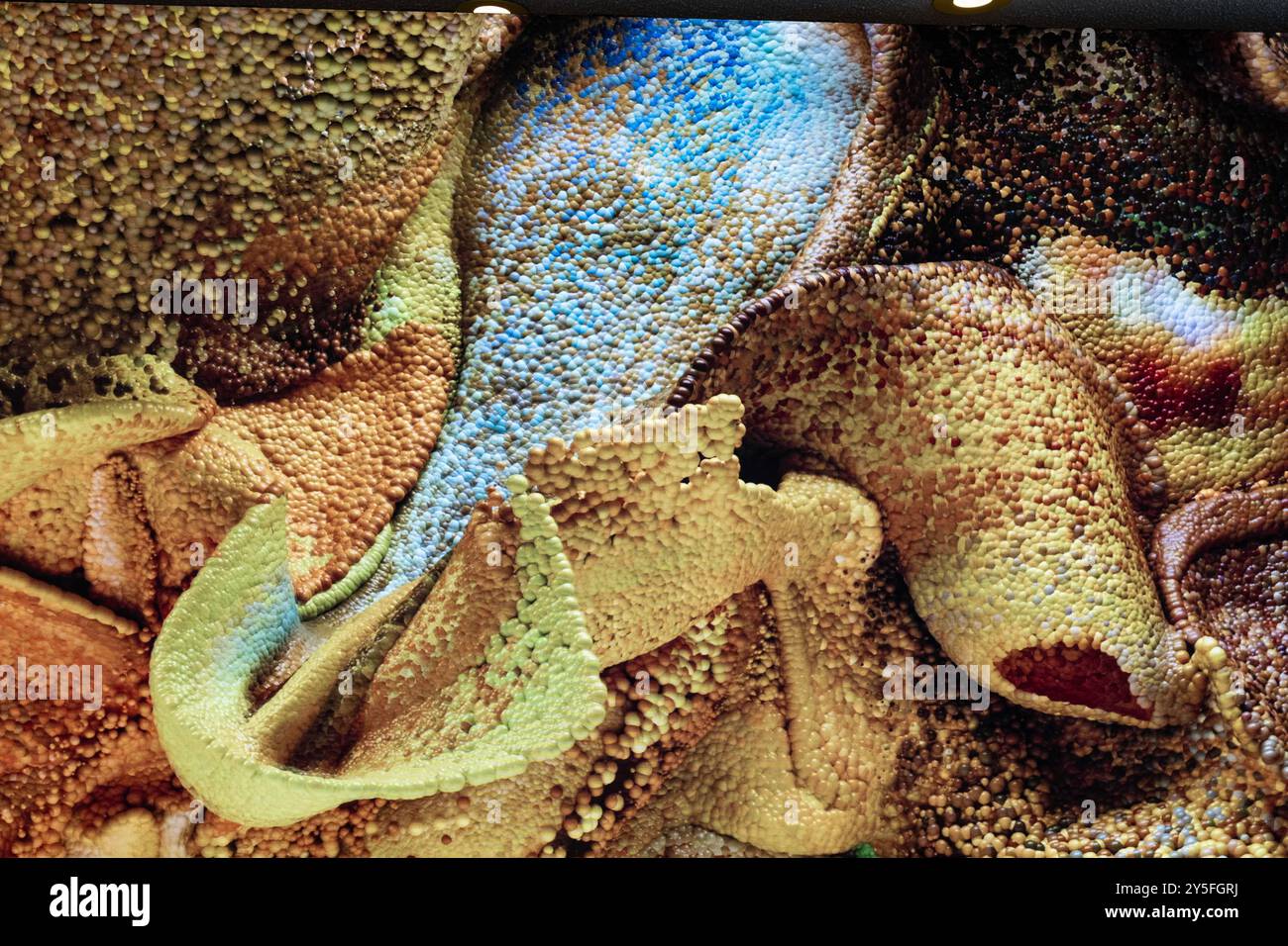 View of AI-powered immersive art installation called Large Nature Model ...