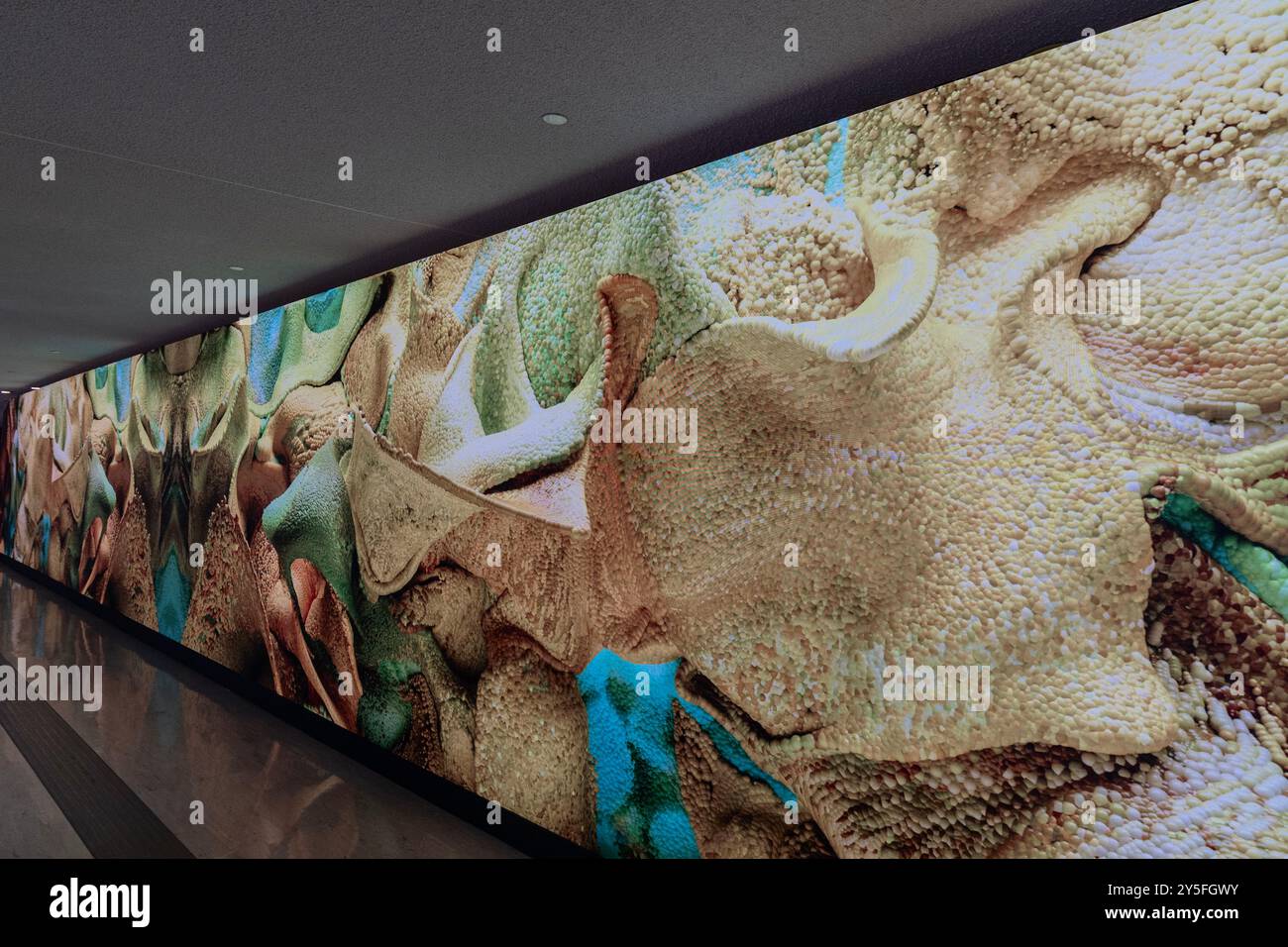 View of AI-powered immersive art installation called Large Nature Model ...