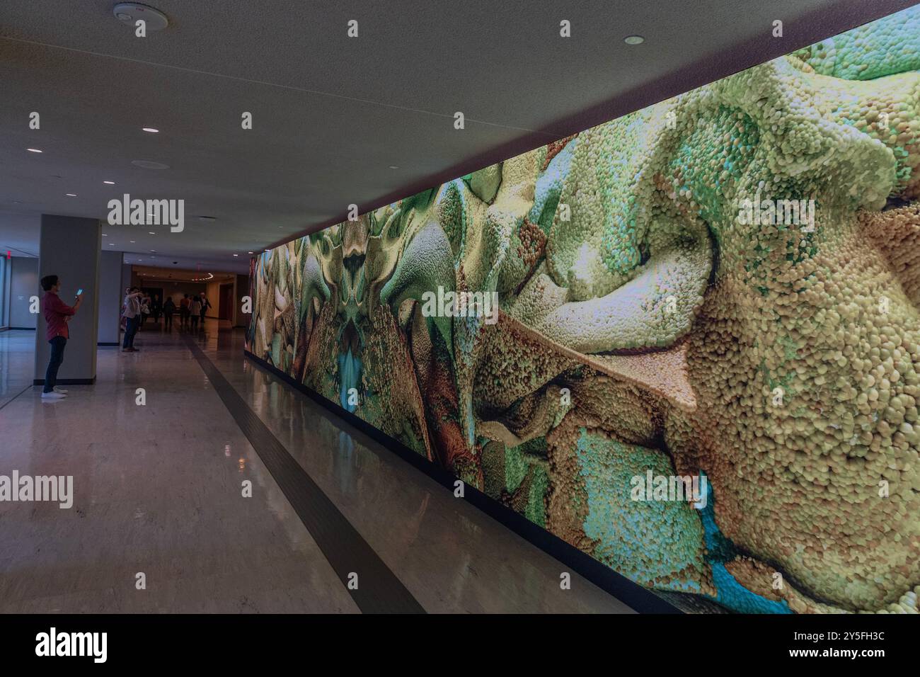 View of AI-powered immersive art installation called Large Nature Model ...