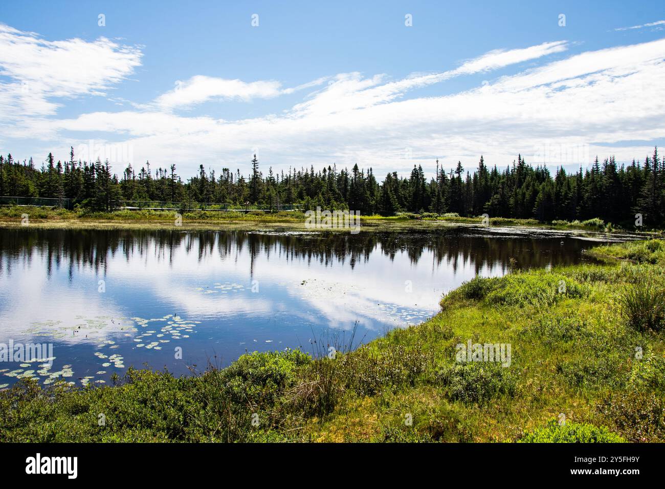Pond at Salmonier Nature Park on NL 90 in Holyrood, Newfoundland ...