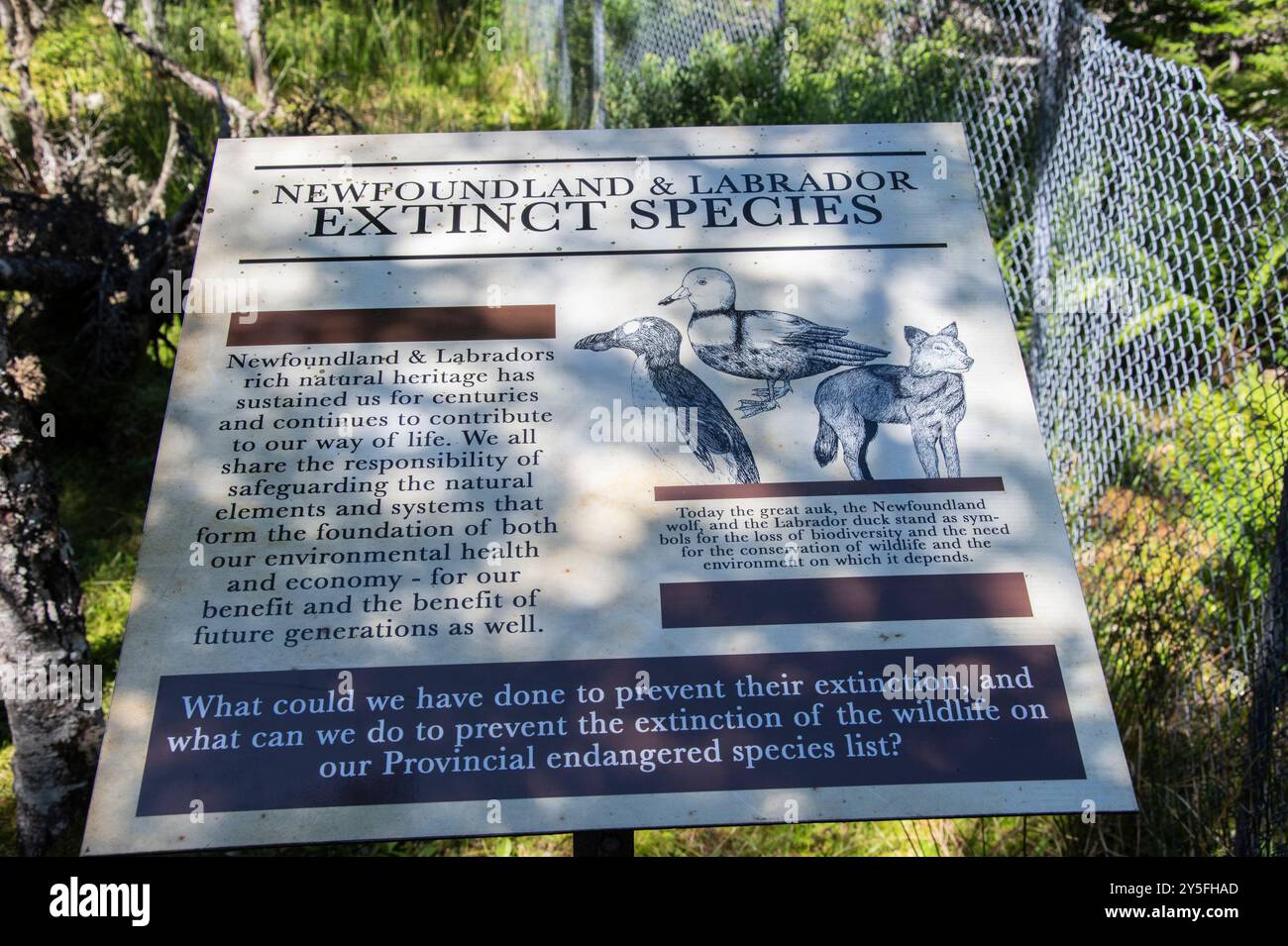 Information sign on extinct species at Salmonier Nature Park on NL 90 ...