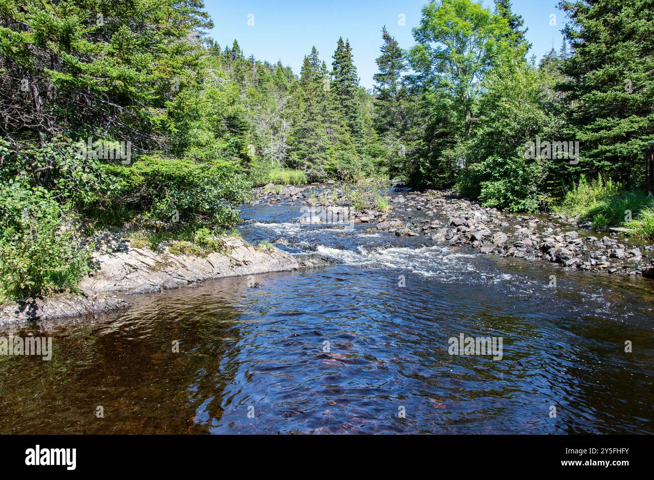 Back River at Connie's Corner on NL 90 in Mount Carmel-Mitchell's Brook ...