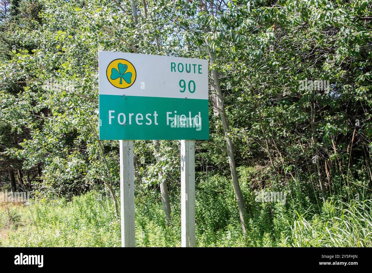 Route 90 sign in Forest Field, Newfoundland & Labrador, Canada Stock ...