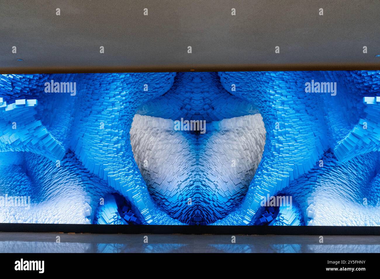 View of AI-powered immersive art installation called Large Nature Model ...