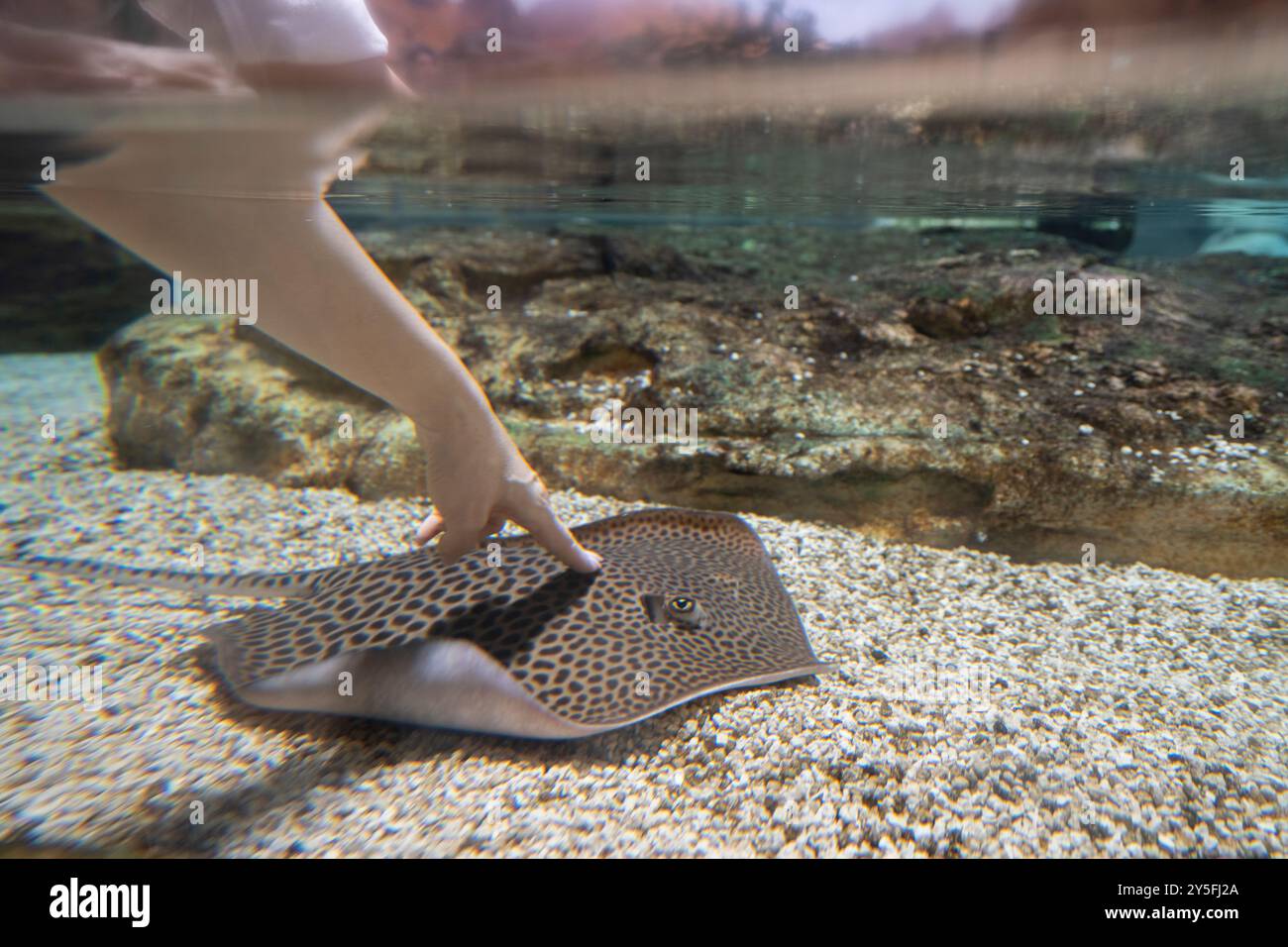 Touchpool hi-res stock photography and images - Alamy