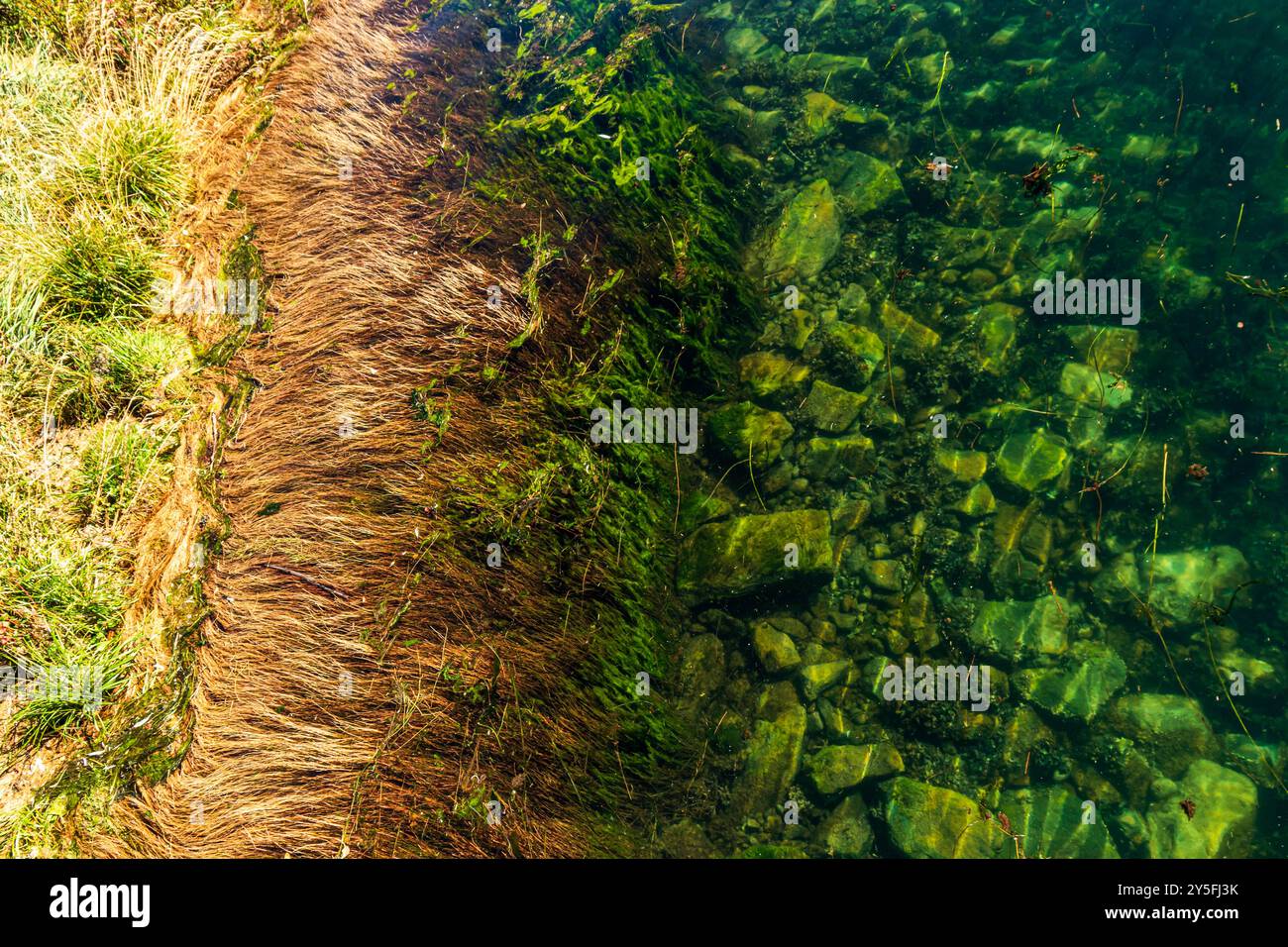 Grasses underwater rocks hi-res stock photography and images - Alamy