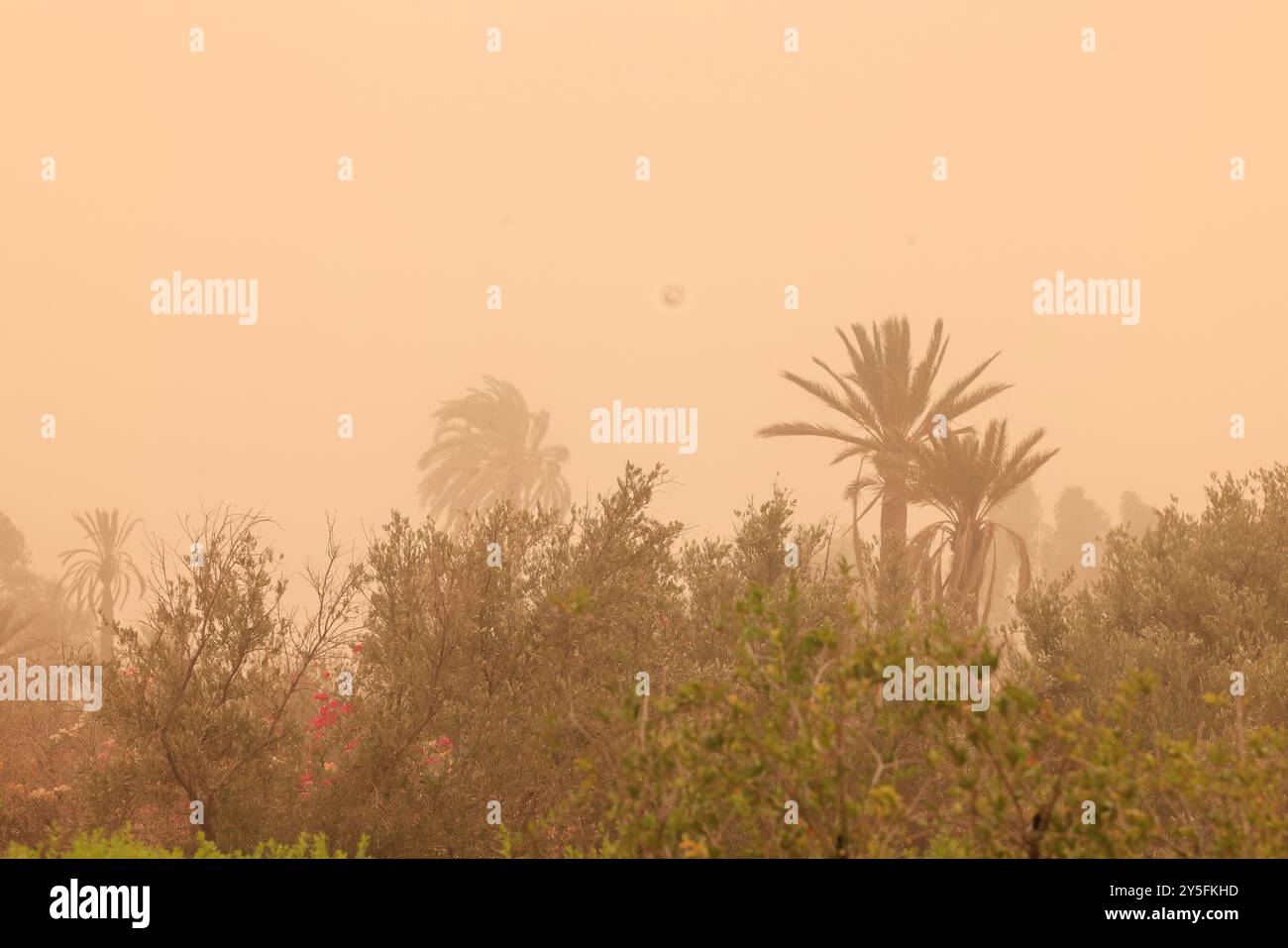 Sand particles in the atmosphere hi-res stock photography and images ...
