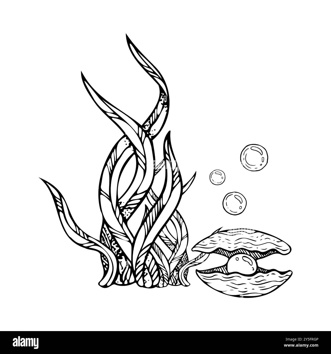 Seashell and bubbles Cut Out Stock Images & Pictures - Alamy