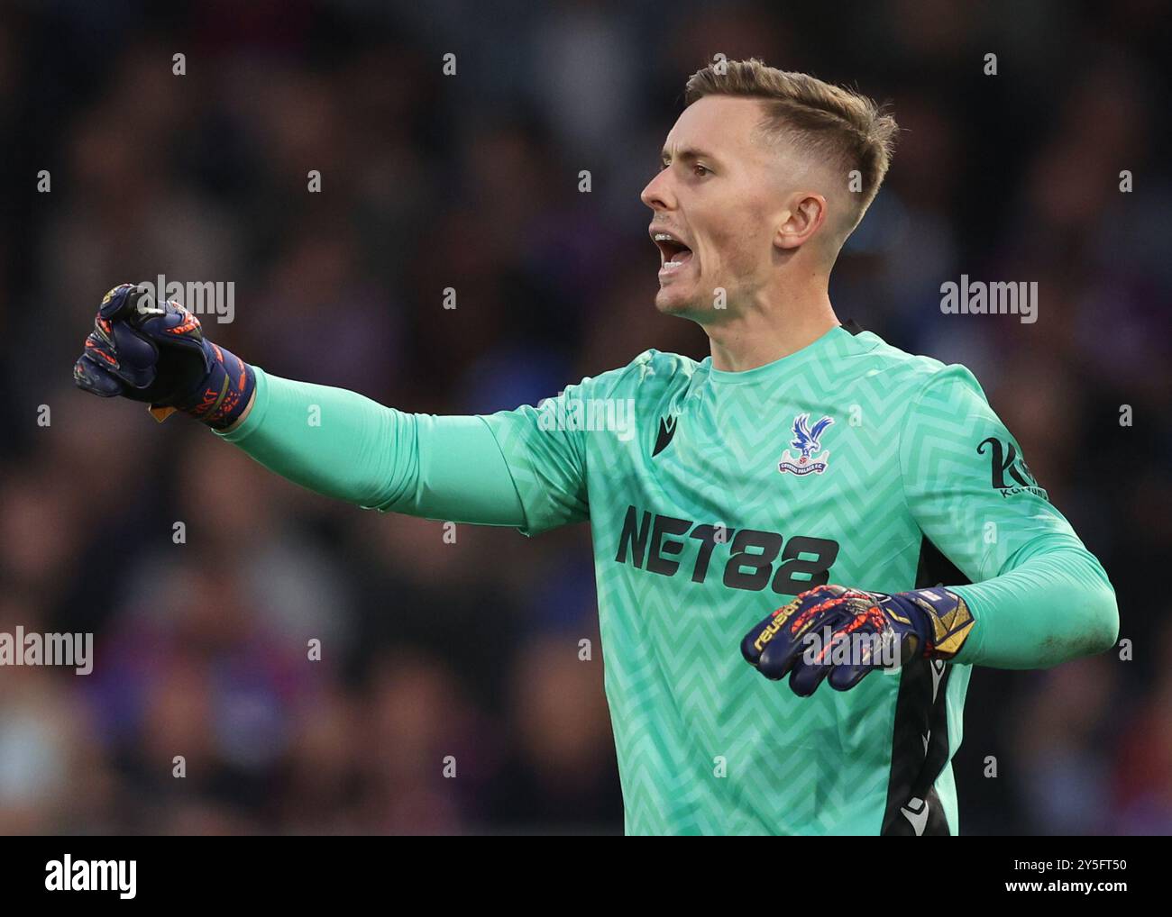 Crystal palaces goalkeeper hi-res stock photography and images - Alamy