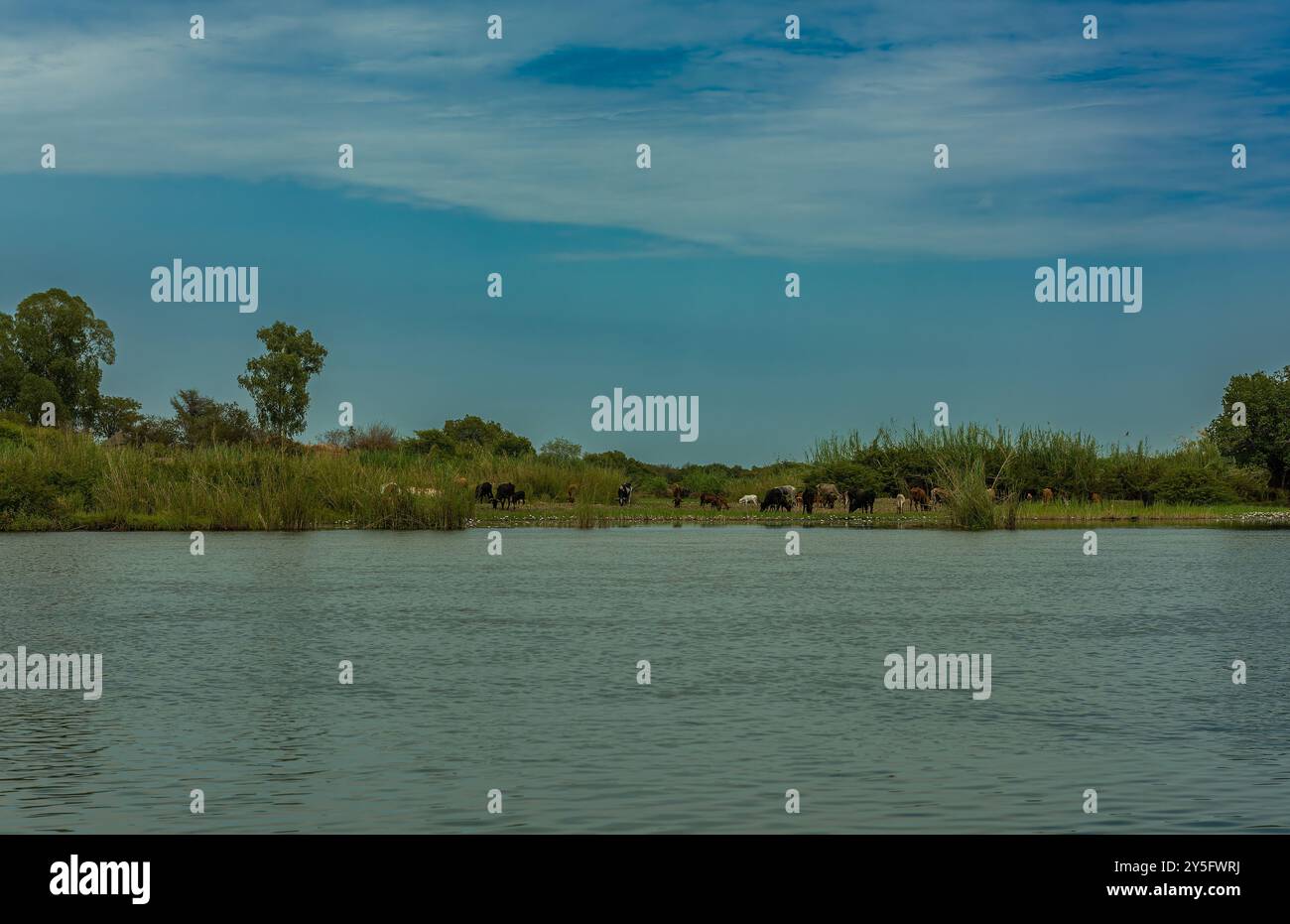 Kavango people hi-res stock photography and images - Alamy