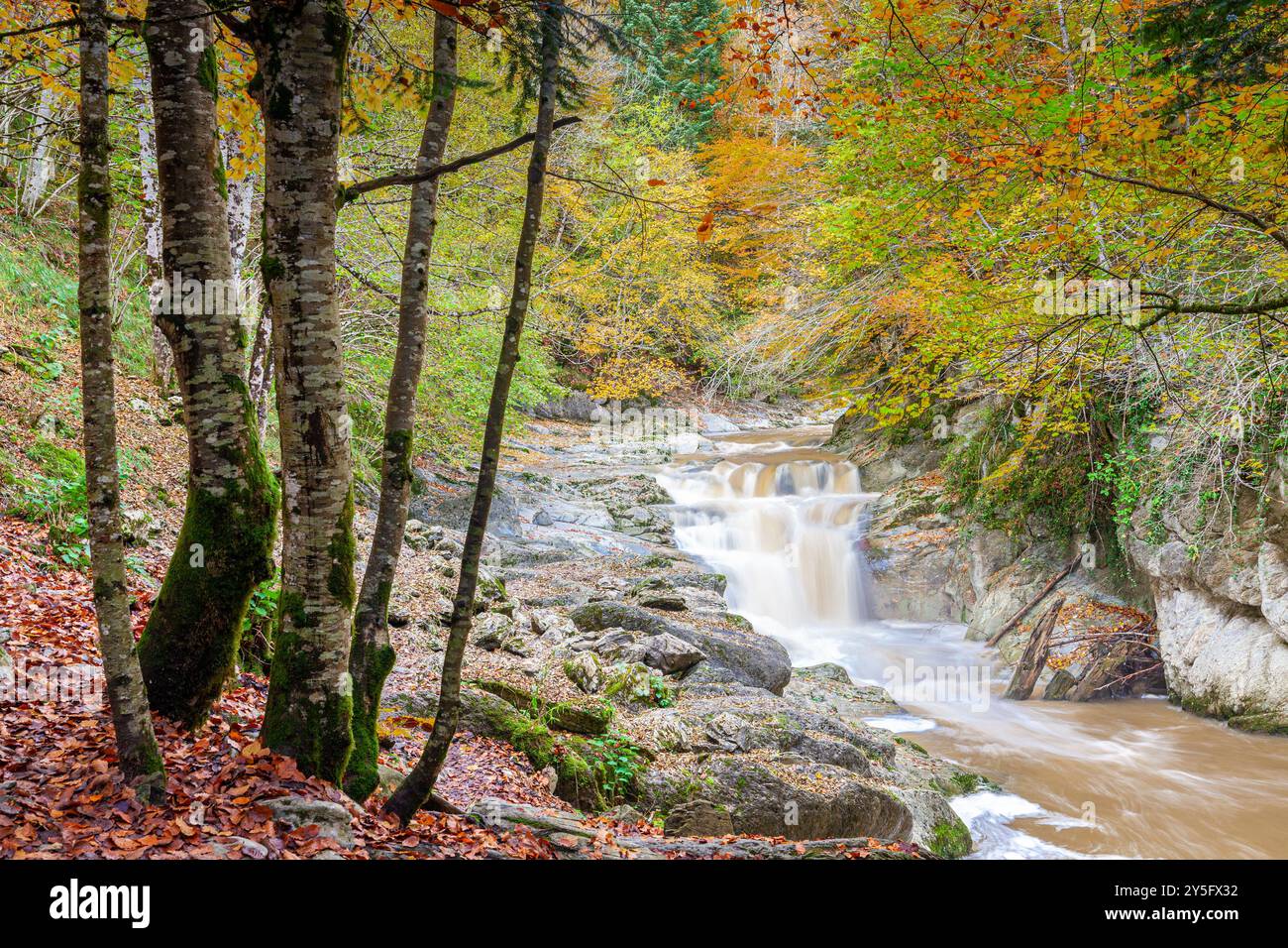 Del Cubo waterfall in Selva de Irati forest near Lodosa, Navarra, Spain ...