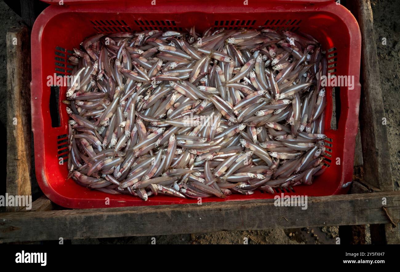 Catch containers hi-res stock photography and images - Alamy