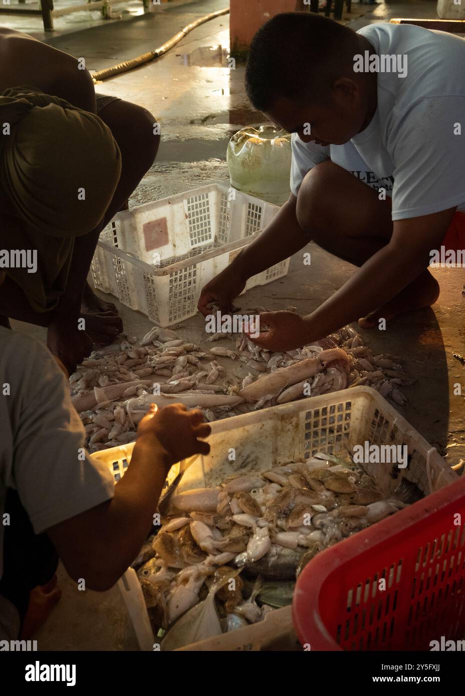 Fishermen are sorting their catch from the sea Stock Photo - Alamy