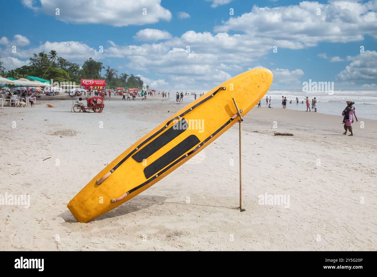 View of Arambol beach, North Goa. Arambol beach with palm trees, beach ...