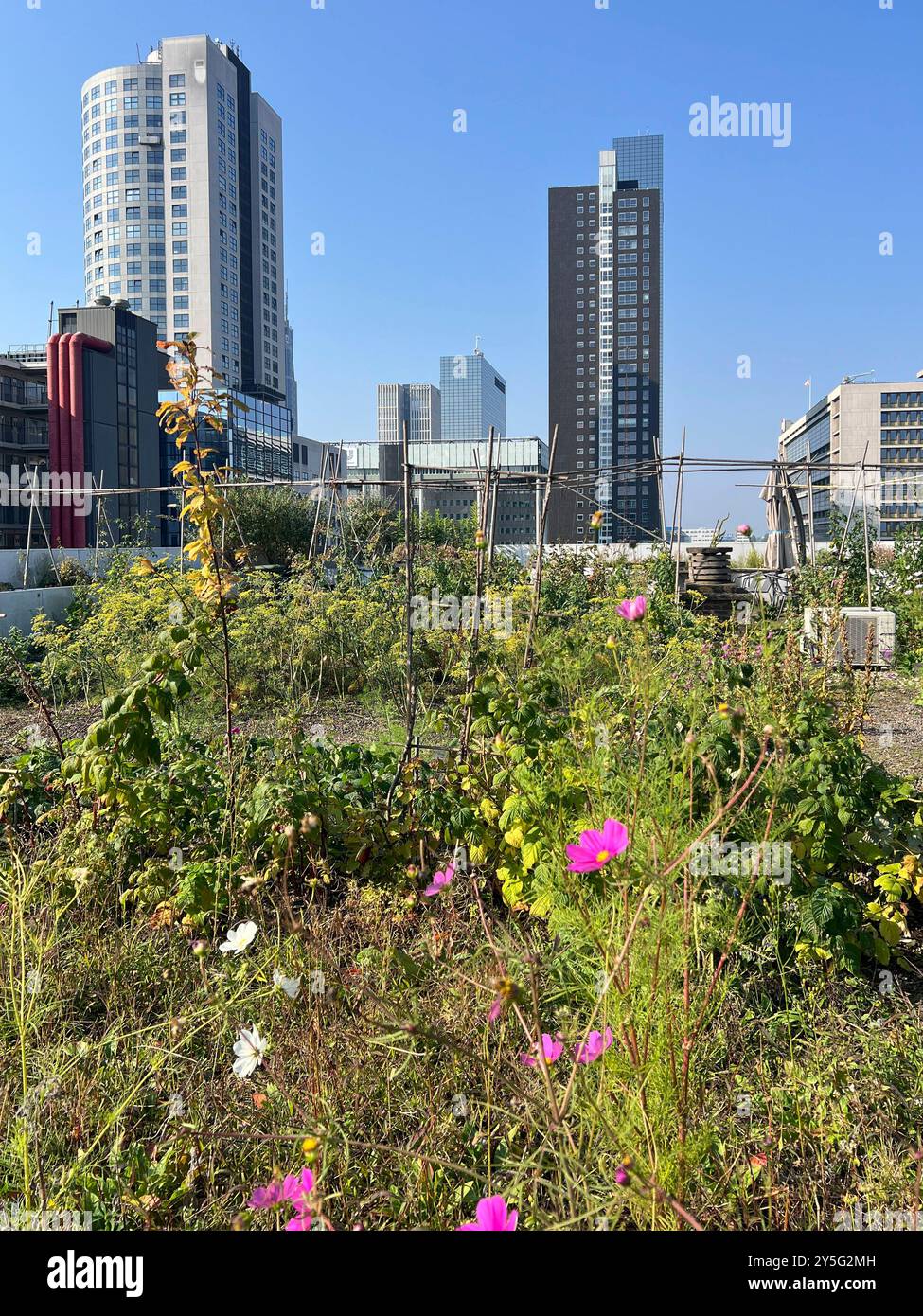 Dachgarten Dakakker in Rotterdam Dachgarten Dakakker in Rotterdam / Rotterdam rooftop garden ...