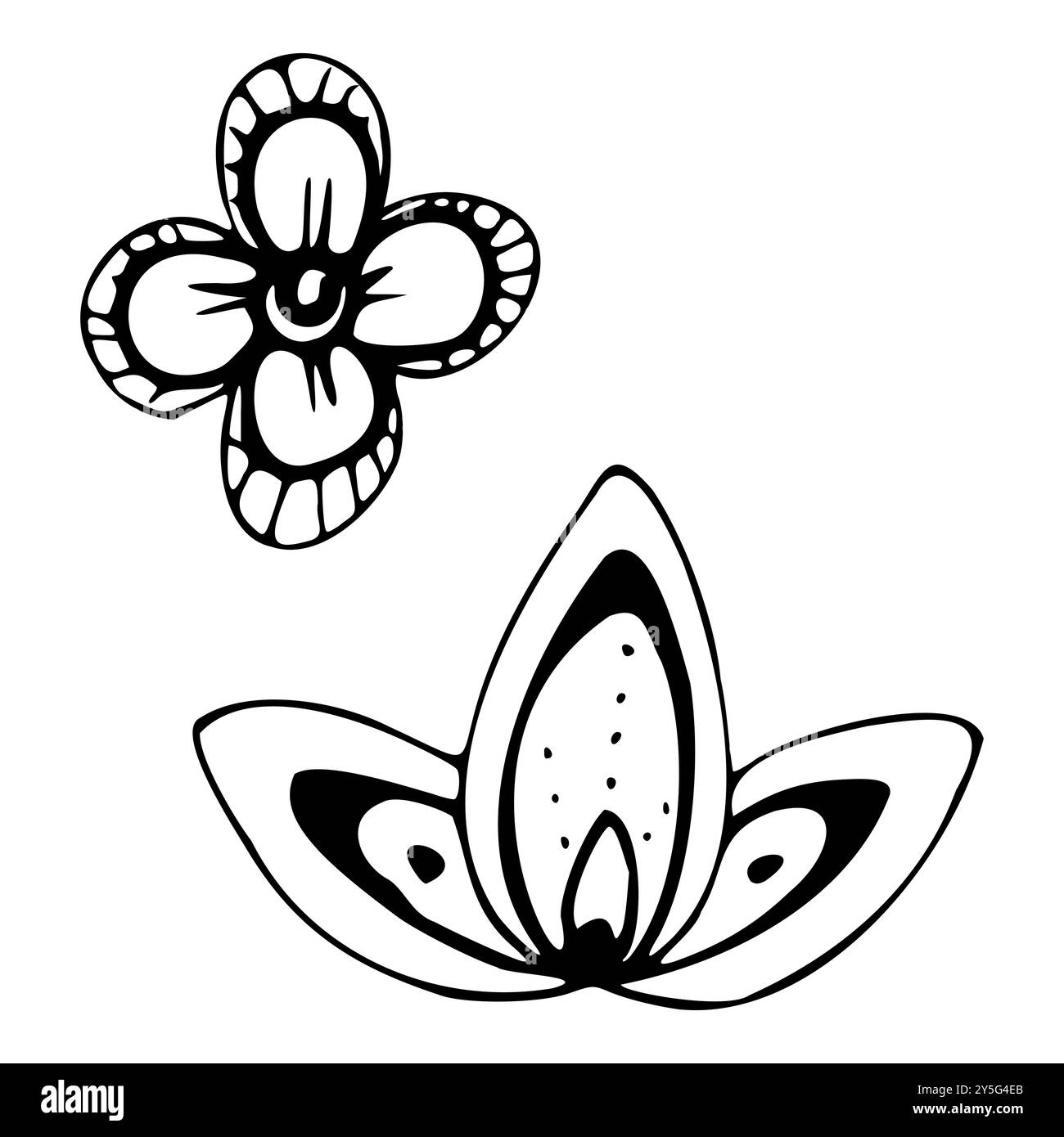 Floral lace flowers and leaves, embroidery exotic orchid rose ...
