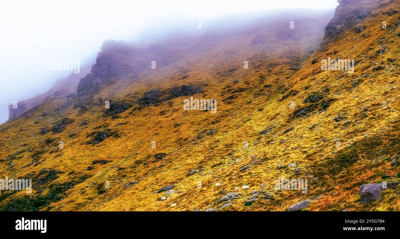 Grass covered rocky outcrops hi-res stock photography and images - Alamy