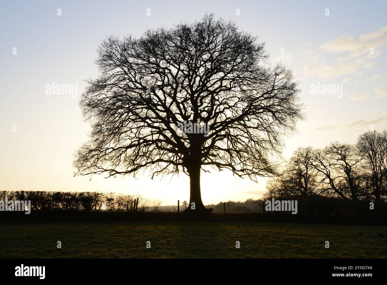 Dilineation hi-res stock photography and images - Alamy