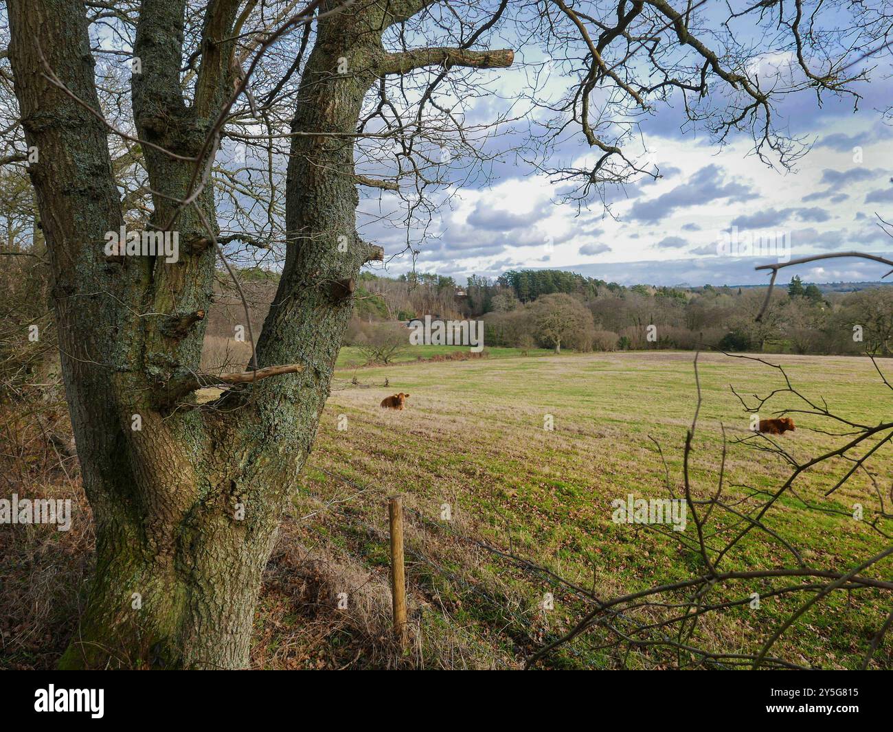 Wishanger manor hi-res stock photography and images - Alamy