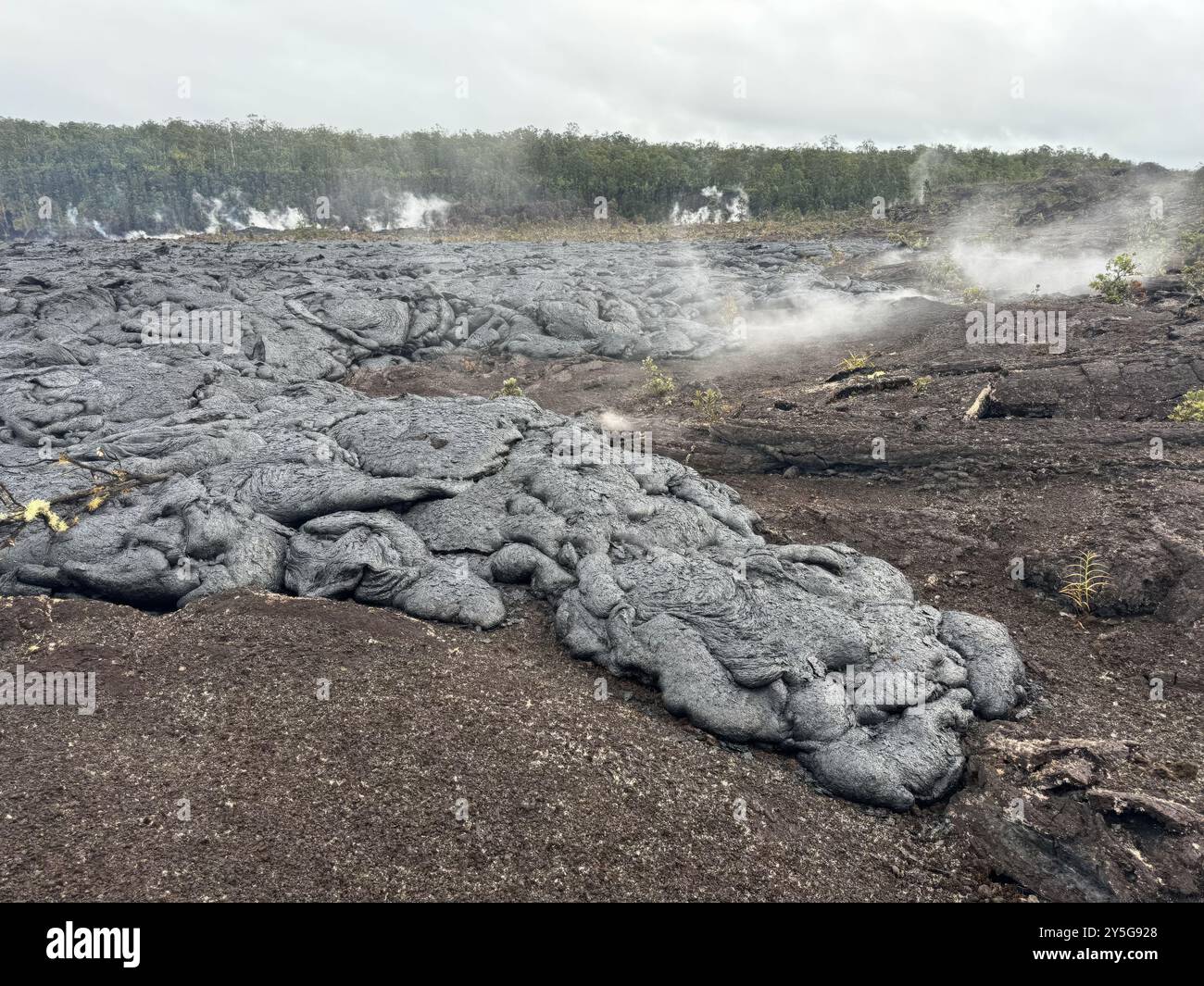 Billowy textures hi-res stock photography and images - Alamy