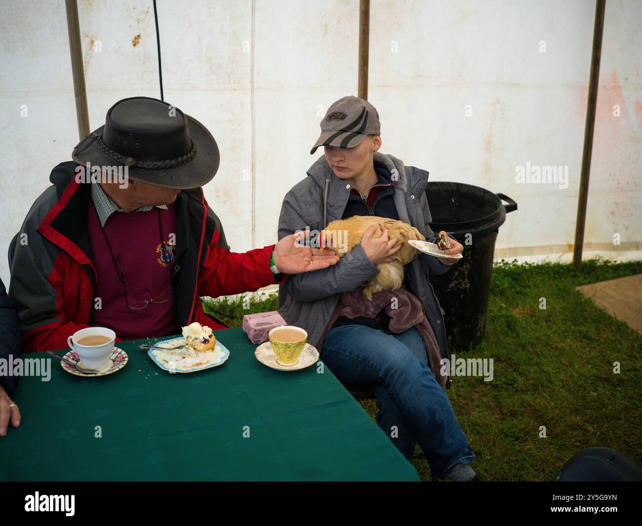 GIRL WITH PET CHICKEN AT SAINT MAWGAN VINTAGE STEAM RALLY Stock Photo ...