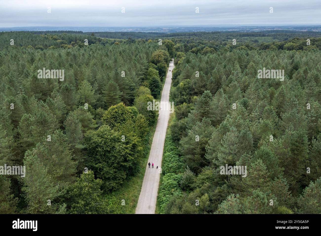 General aerial view of walkers heading in to Cannock Chase forest ...