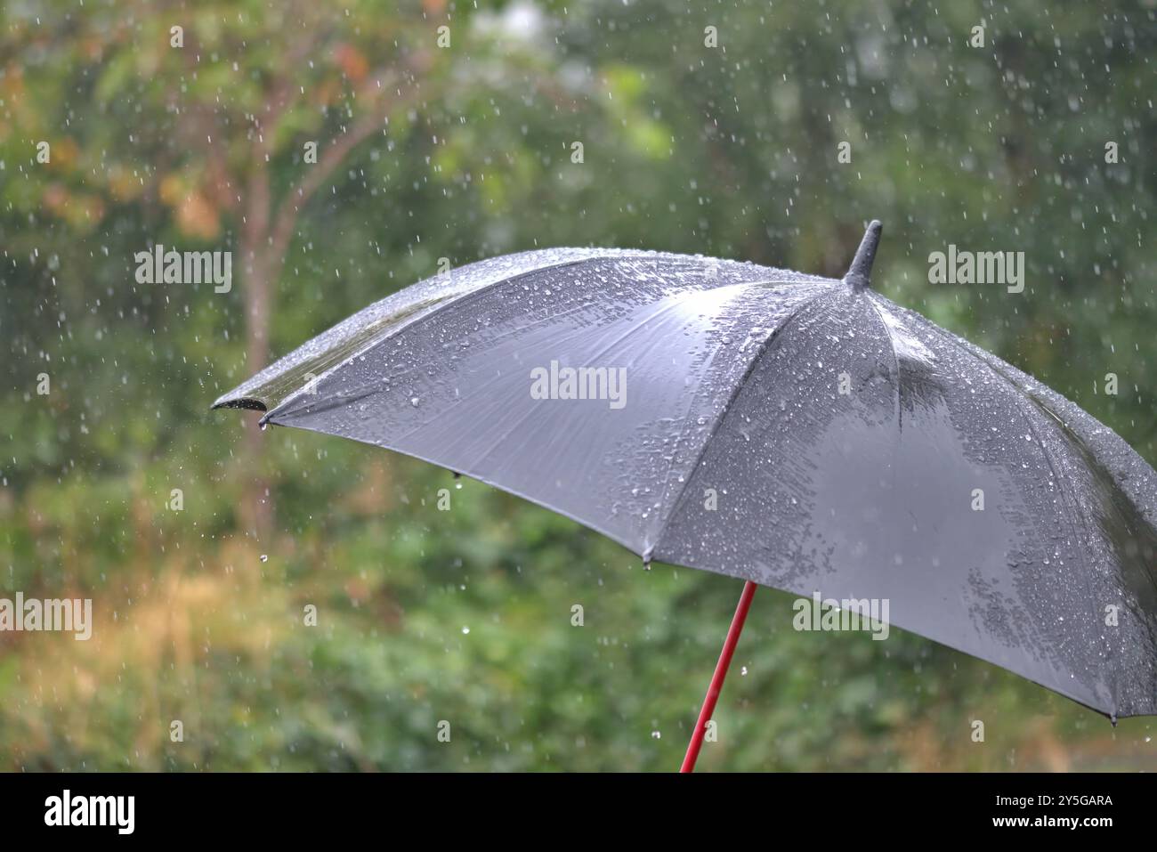 Pouring rain rainfall hi-res stock photography and images - Alamy