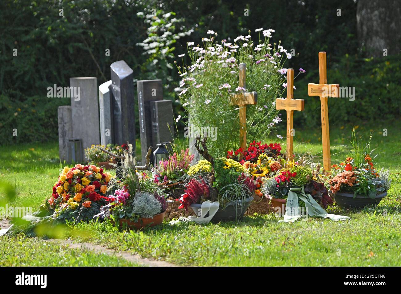 Graeber auf einem Friedhof,Holzkreuz,Grab. *** Graves in a cemetery ...