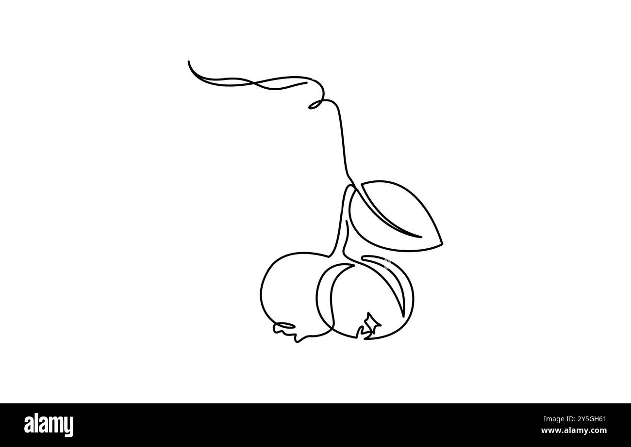 Blueberry vector illustration. One line drawing art illustration with ...