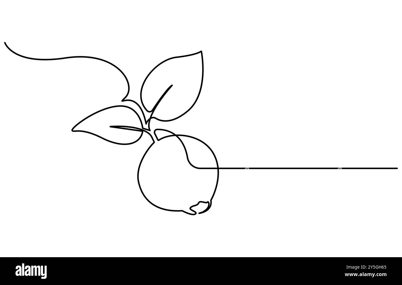 Blueberry vector illustration. One line drawing art illustration with ...