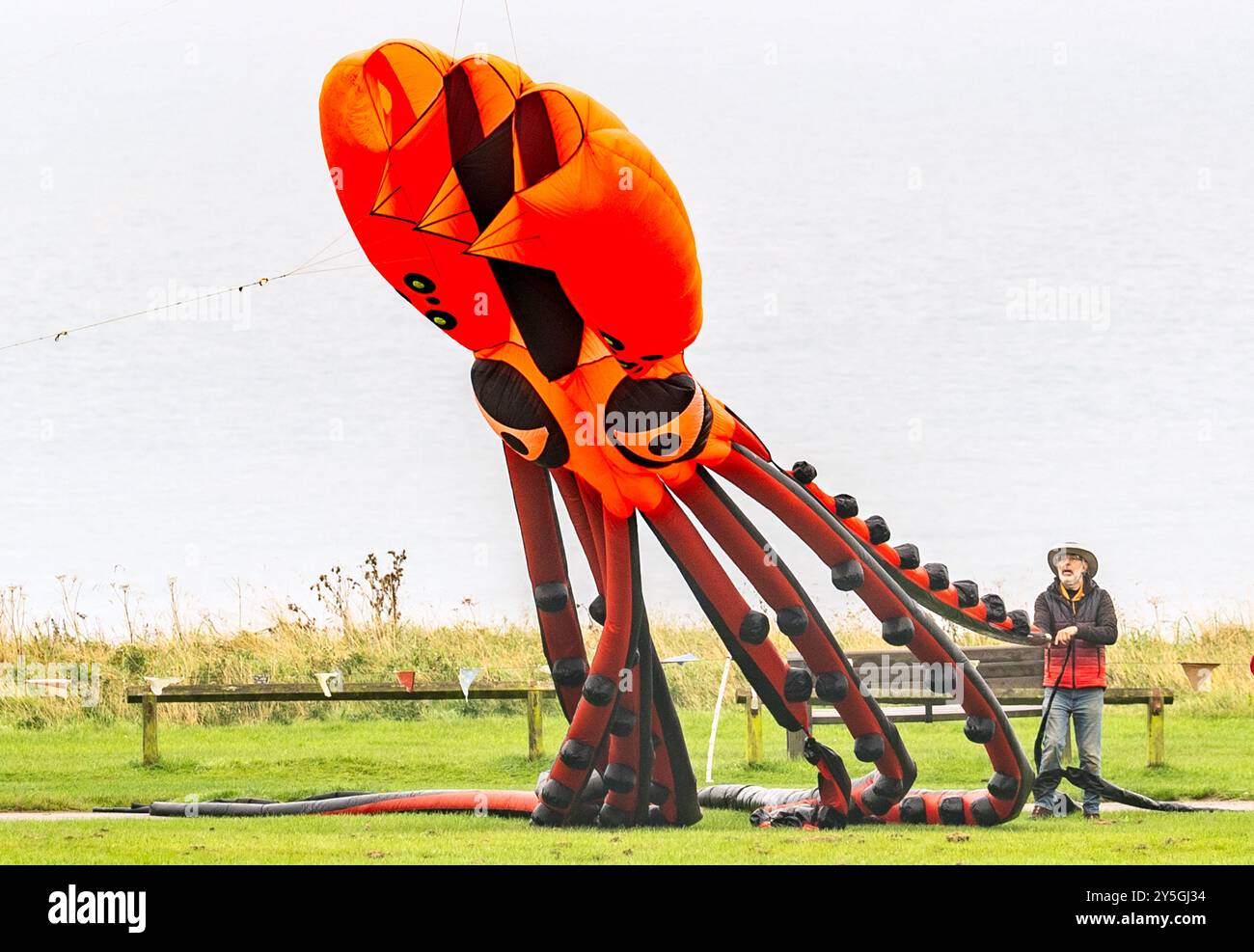 A man launches an octopus shaped kite during Filey Kite Festival at ...