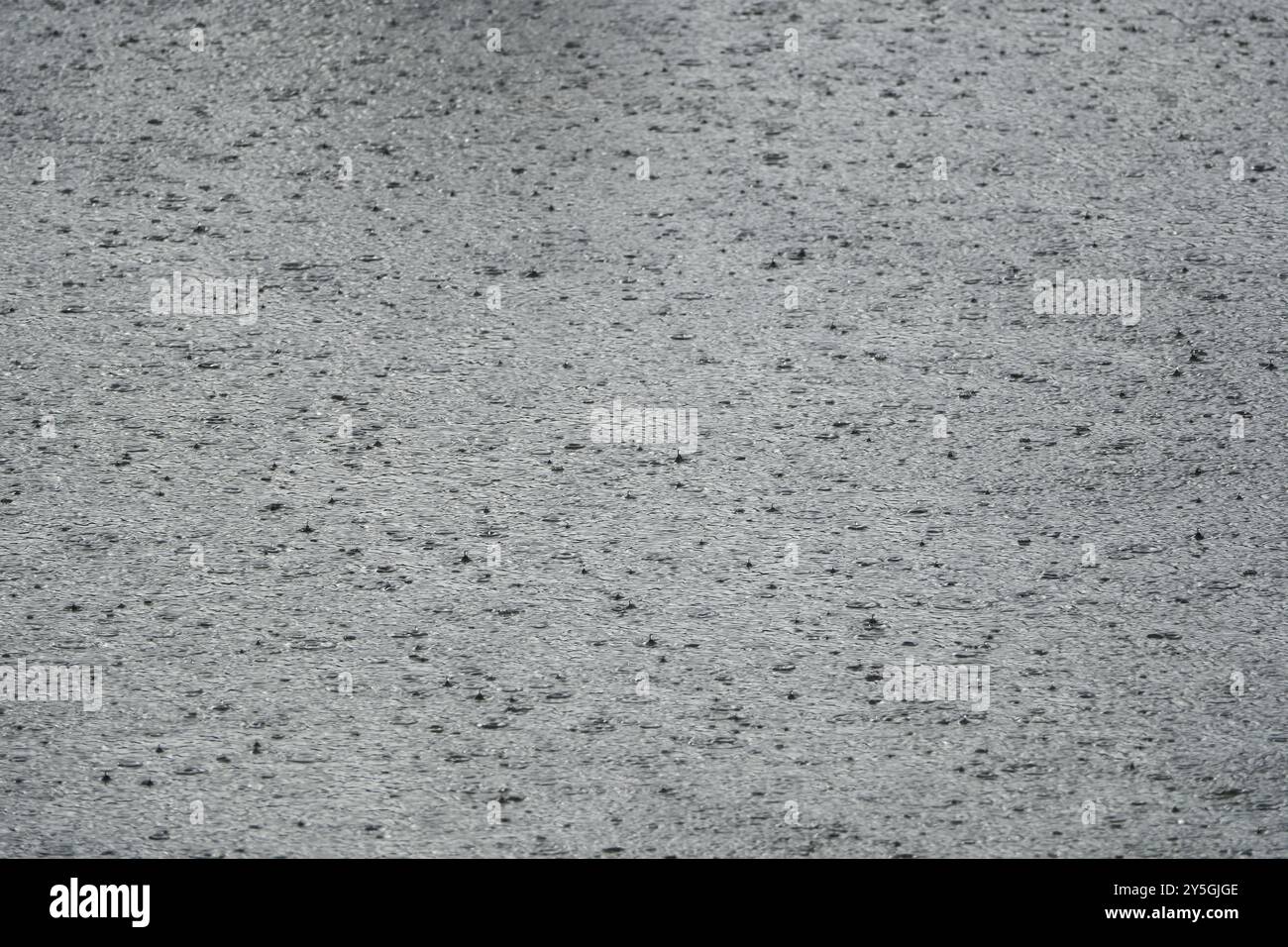 autumn rain, puddle, drops of rain. Abstract background and texture for ...