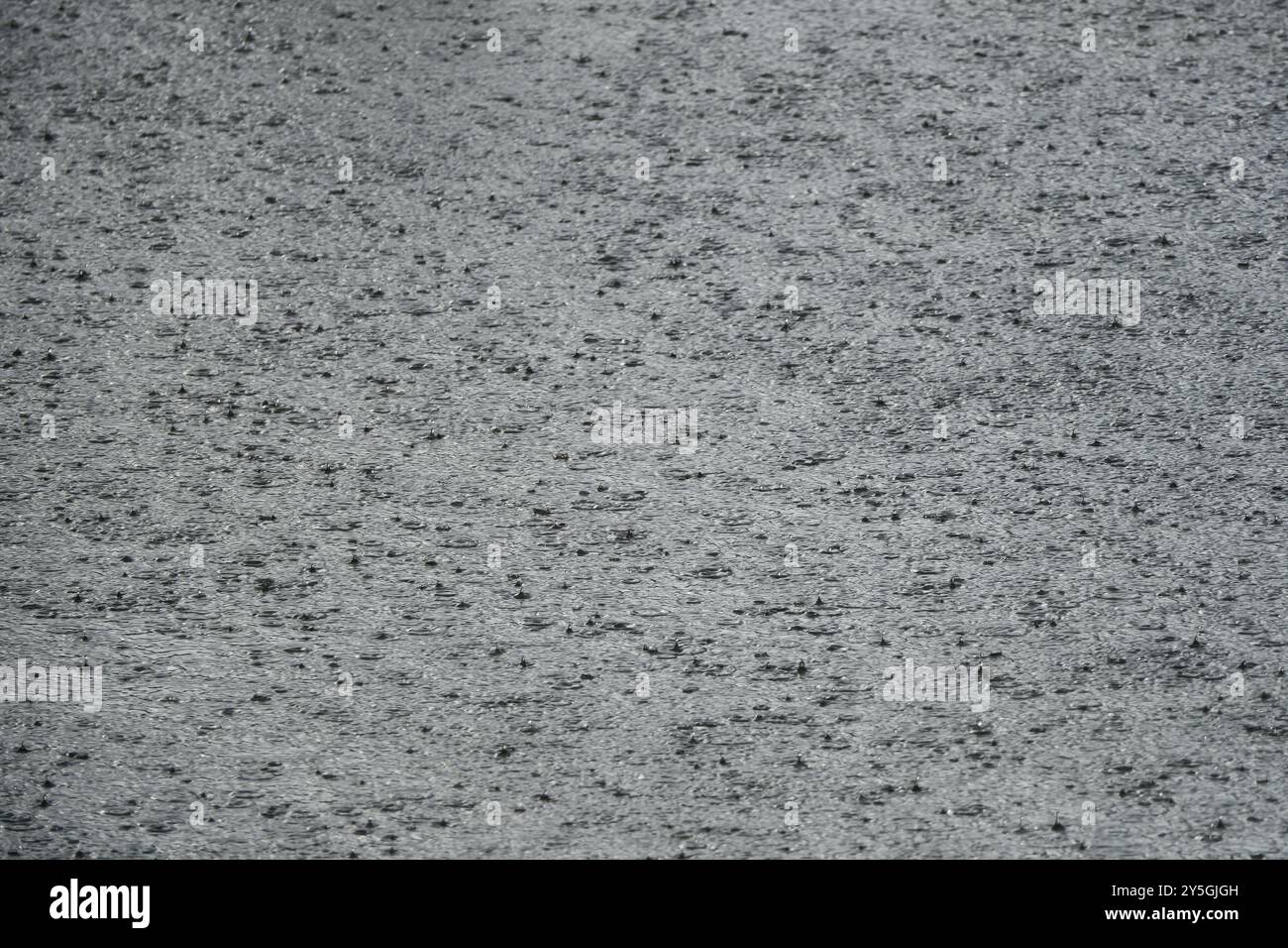 autumn rain, puddle, drops of rain. Abstract background and texture for ...