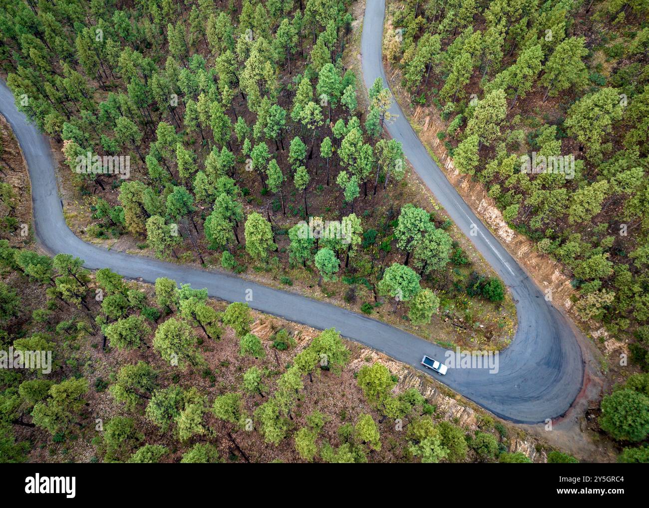A road twists through the Santa Fe National Forest in New Mexico, USA ...