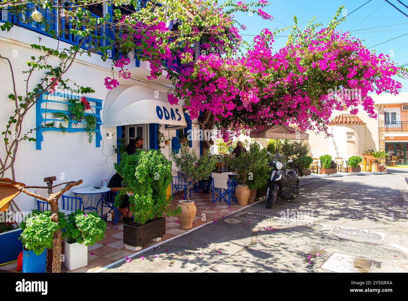 The pretty old town of Malia in Crete, Greece - very different to the ...