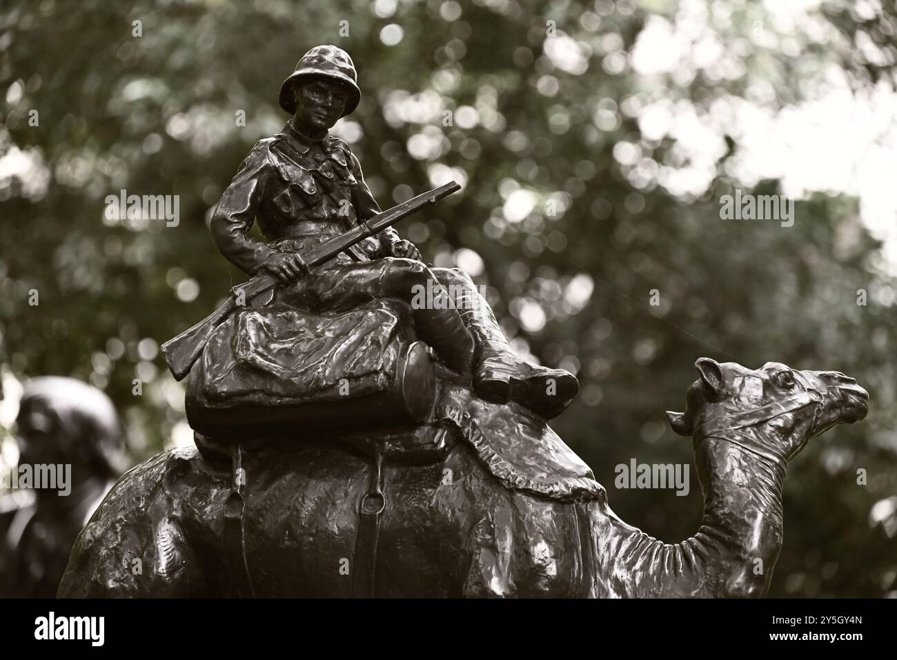 Camel Corps Monument Stock Photo - Alamy